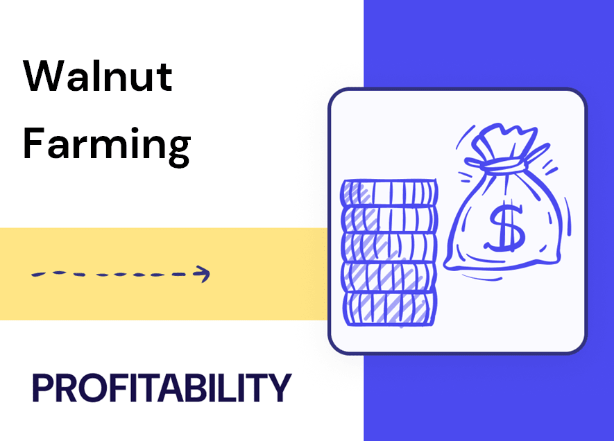 What Are the Top 5 Strategies to Maximize Profitability for Walnut Farming?