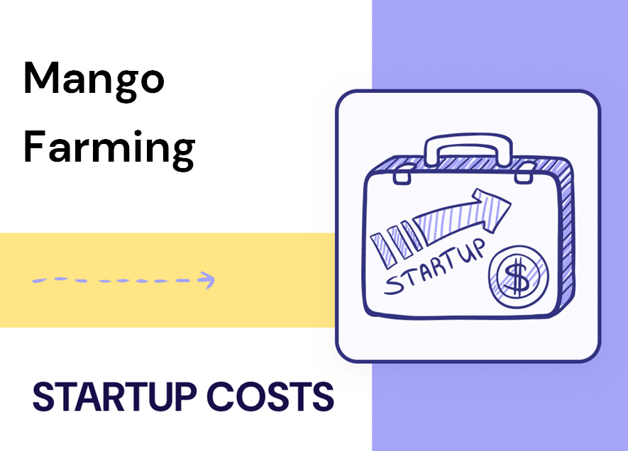 What are Startup Costs for Mango Farming?
