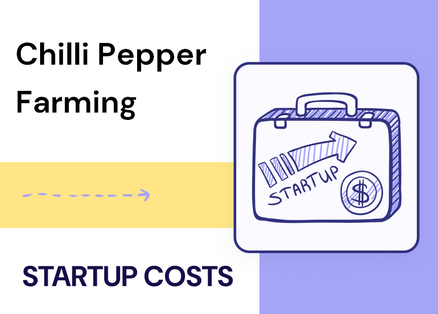 What are Startup Costs for Chili?