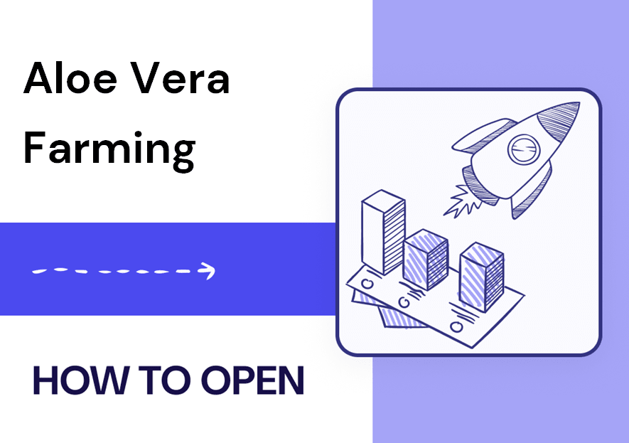 How to Open Aloe Vera Farming?