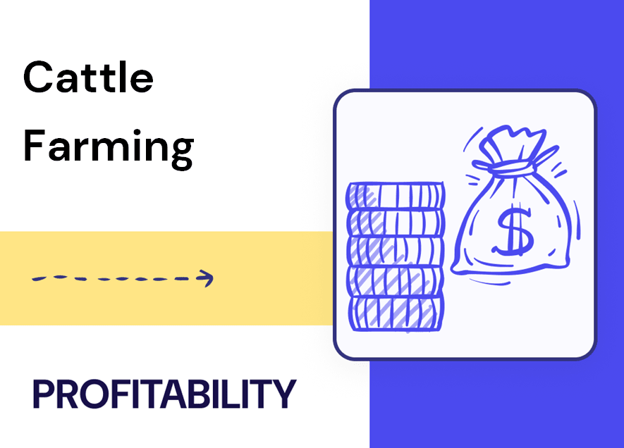 What Are the Top 5 Strategies to Maximize Profitability for Cattle?